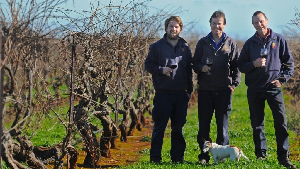 The generations of wine - Oliver's Wines